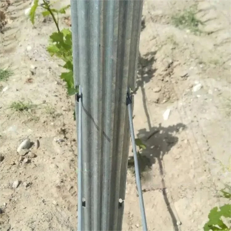 Galvanized Vineyard Post Grape Stake Post/vineyard Trellis Stake Metal ...