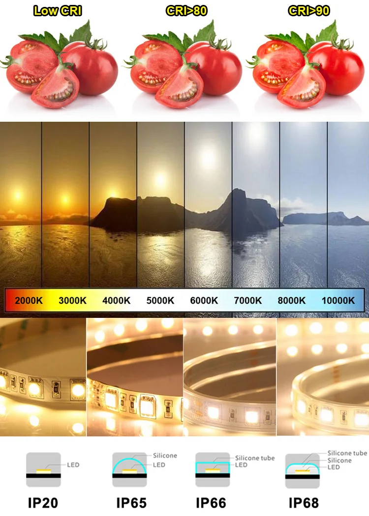 Hot Pixel Led Strip 5v 12v 24v Rgb Rgbw Programmable Magic Ws2811 ...