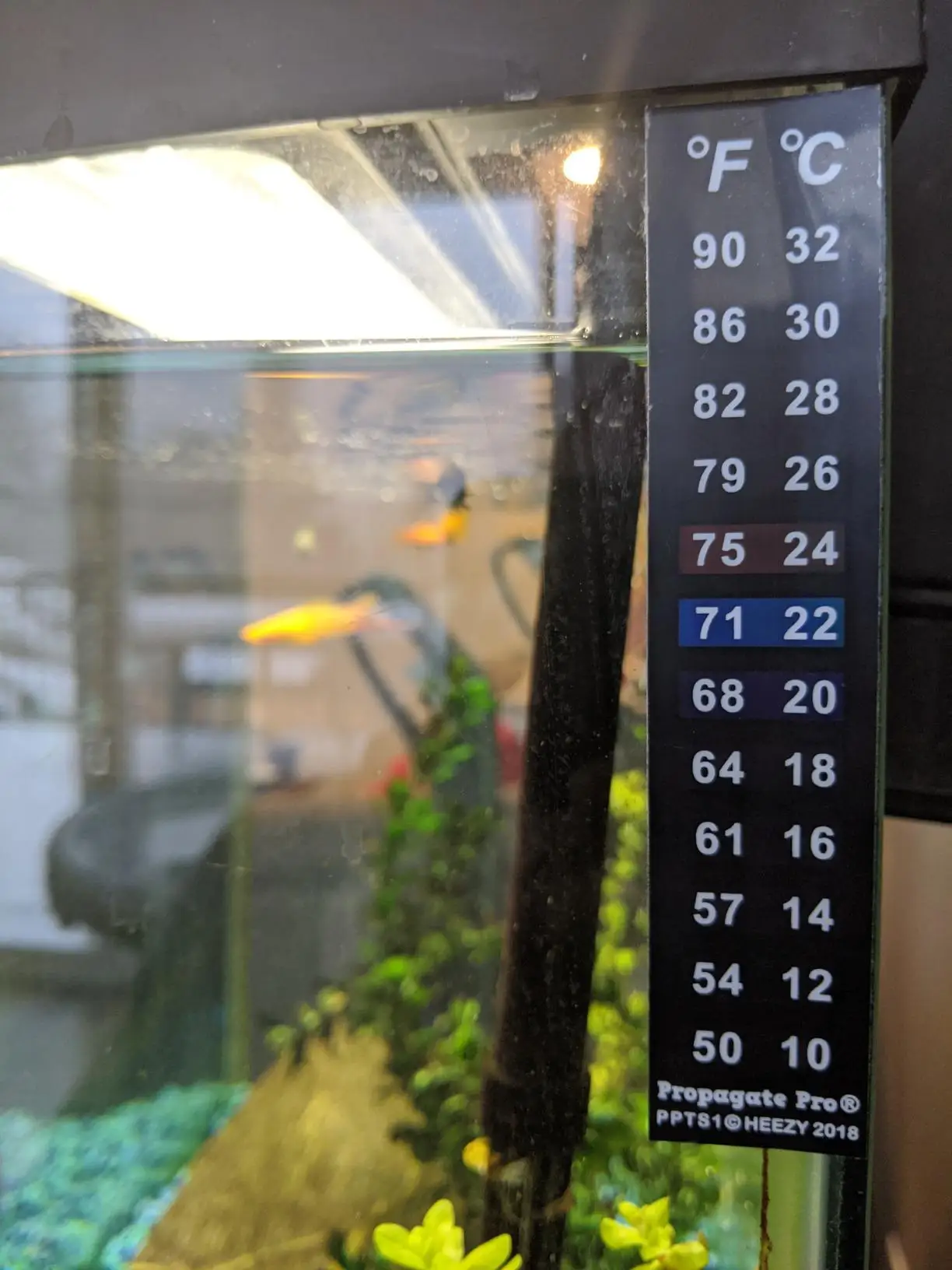 Color Changing Temperature Indicator Sticker Strip For Aquarium ...