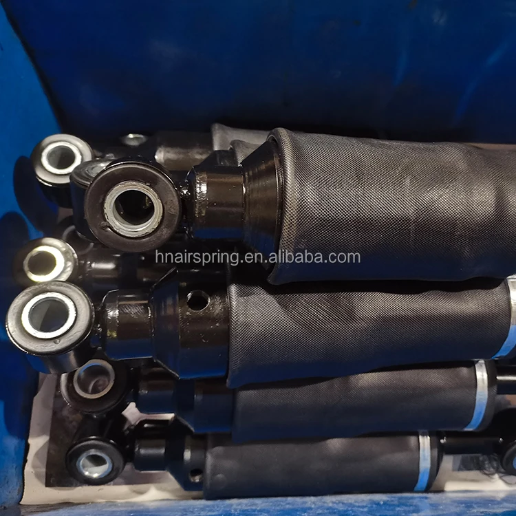 Truck Cabin Air Spring Assy Shock Absorber for Hyundai - Rear ...