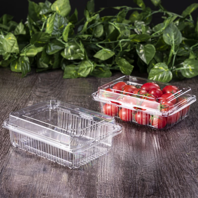 Transparent Rectangle Disposable Plastic Box Packaging Flap Fruit ...