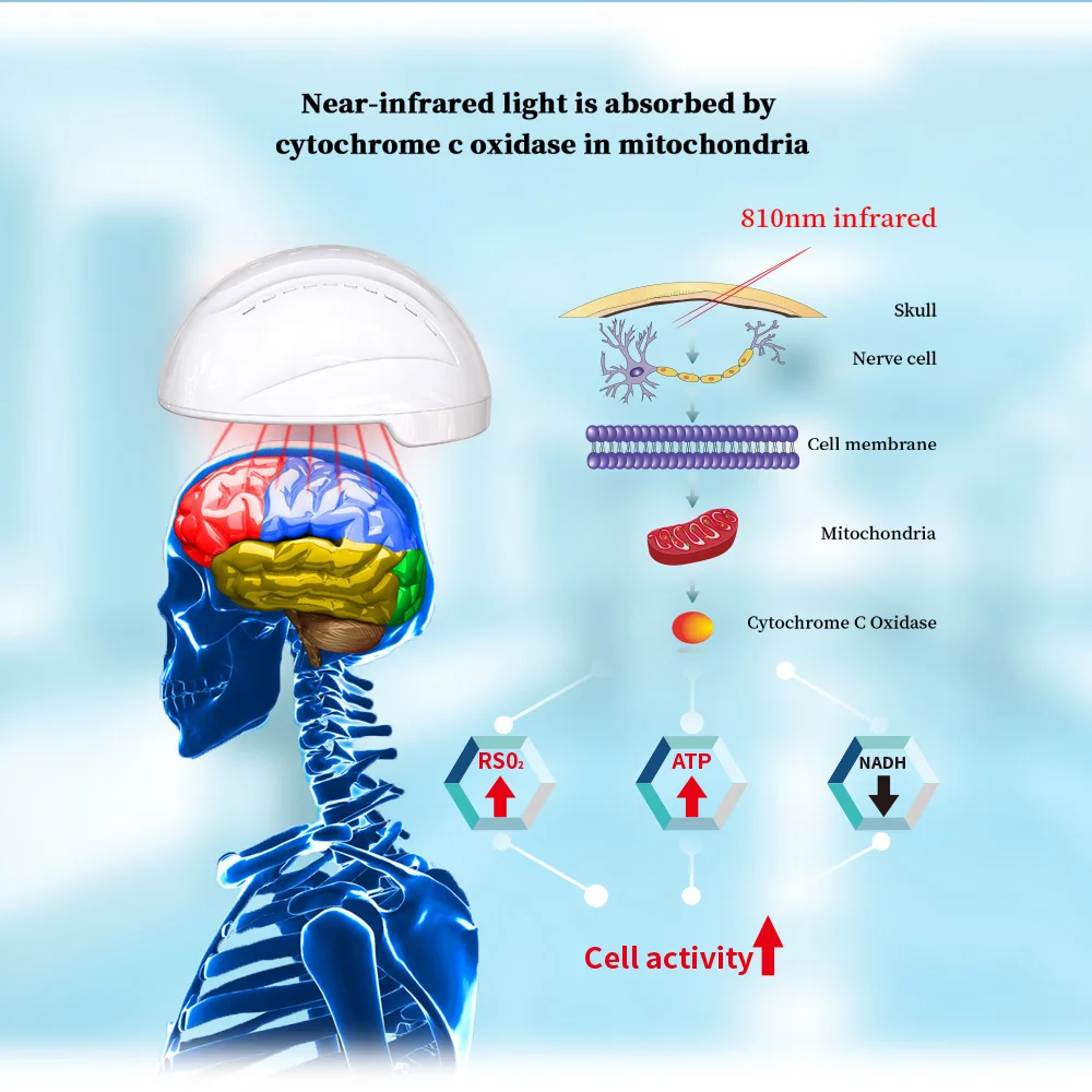 Transcranial Magnetic Stimulation RMTS Infrared Led Light 810nm