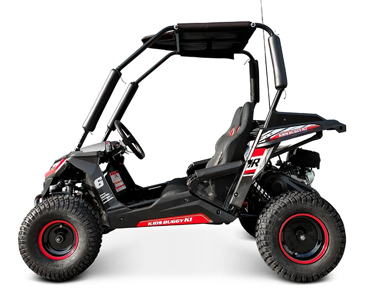 163cc 4 Stroke Gas 2 Seat Kids Mini Go Kart UTV Buggy