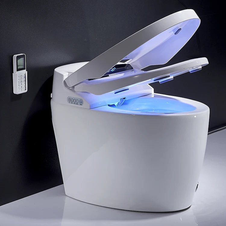 Smart Toilet - Modern, Cheap Japanese Electronic Flush
