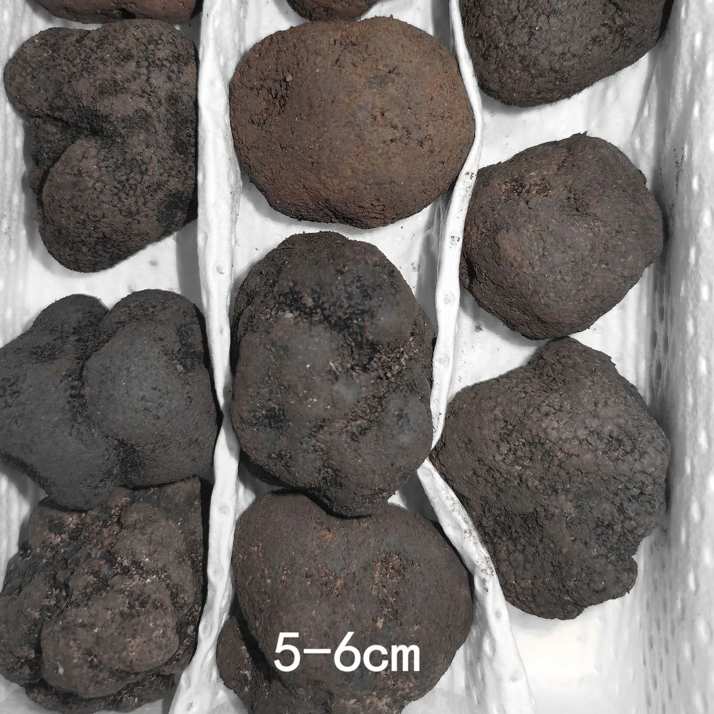 100% Natural Luxury Truffle Wholesale - Yunnan Black Truffle