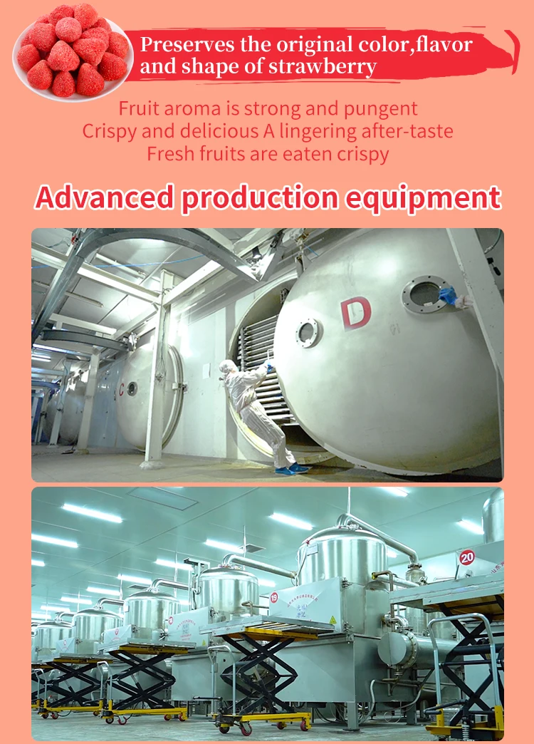 Wholesale FD Strawberry Crisp 110gram Delicious Freeze Dried Fresh ...