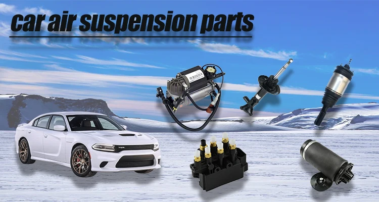 Rear Air Suspension Shock Absorber For Mercedes Benz W166 Ml350 ...
