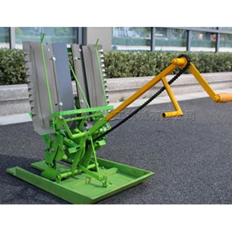 Small Hand-cranked Rice Transplanter Double-row Manpower Step-back Rice ...