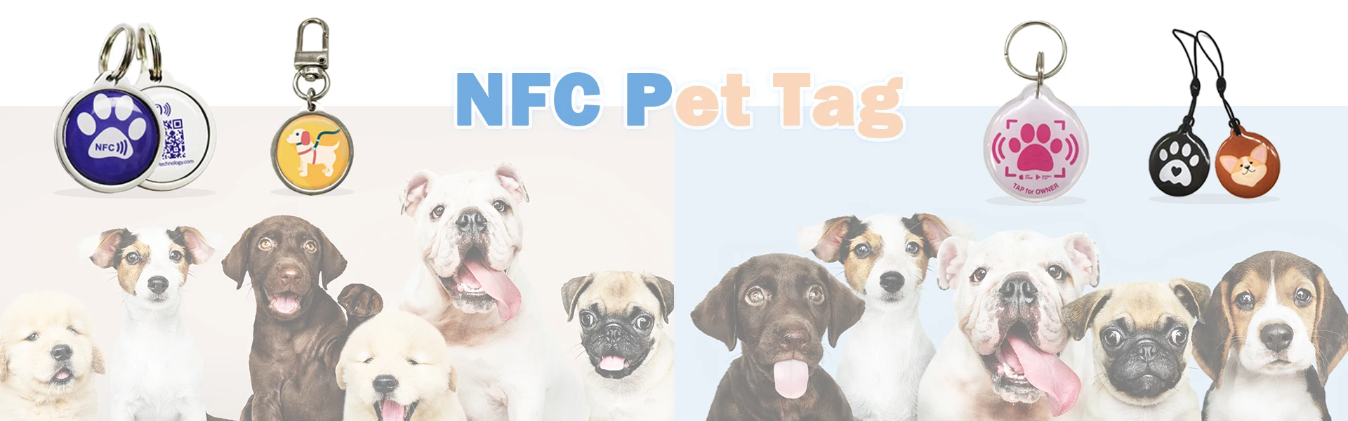 Programmable RFID Tags for Pet Tracking - NFC Dog Tags