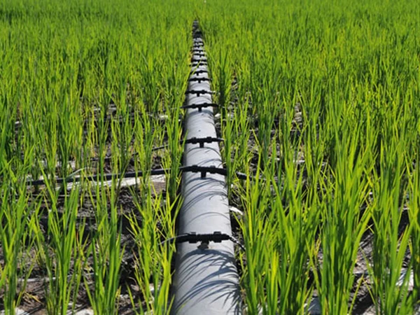 Agricultural 1 Hectare Drip Irrigation System Pe Pipe Flexible Water ...