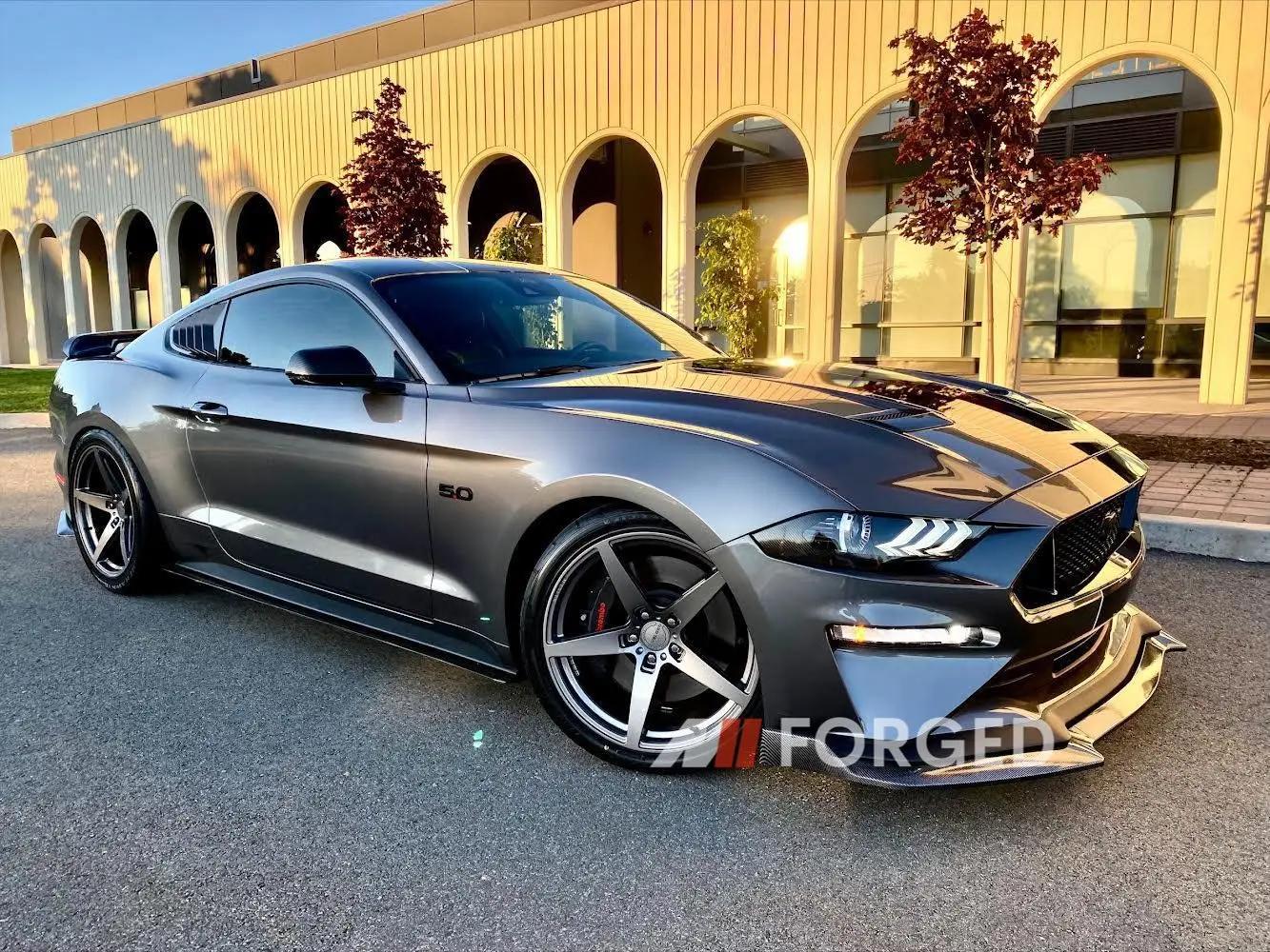 MN Forged Classic5 V2 Concave Wheels for Ford Mustang GT350 GT500 S550 ...