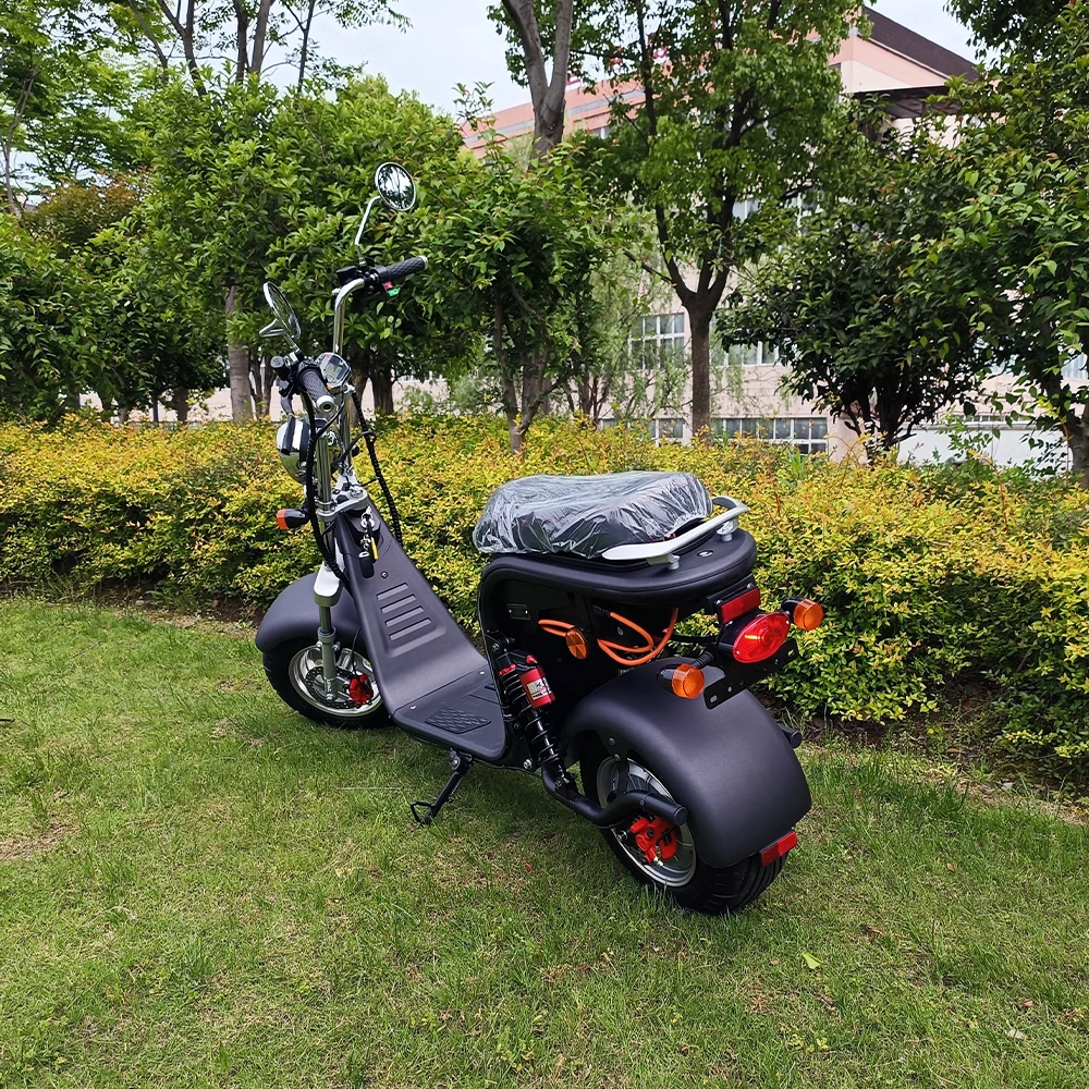 Citycoco 3000W Electric Scooter - Unisex Fat Tire Two-Wheel Scooter ...