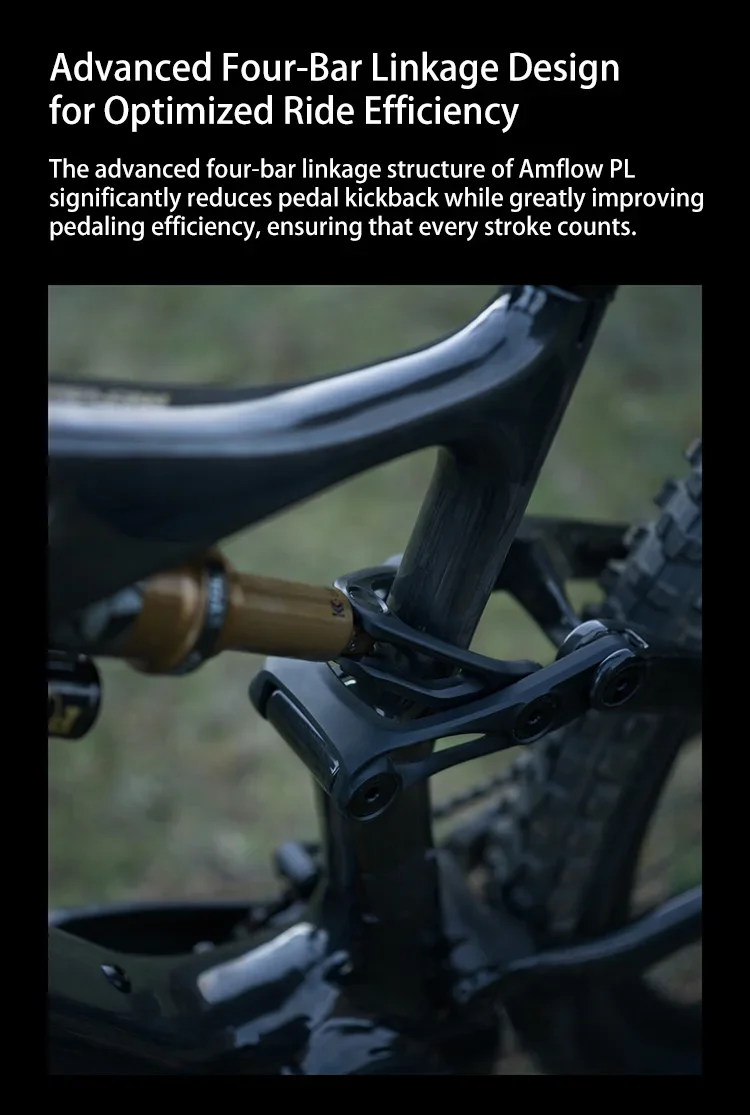 DJI Amflow PL Carbon Pro 800wh - Long Range off-Road E-bike