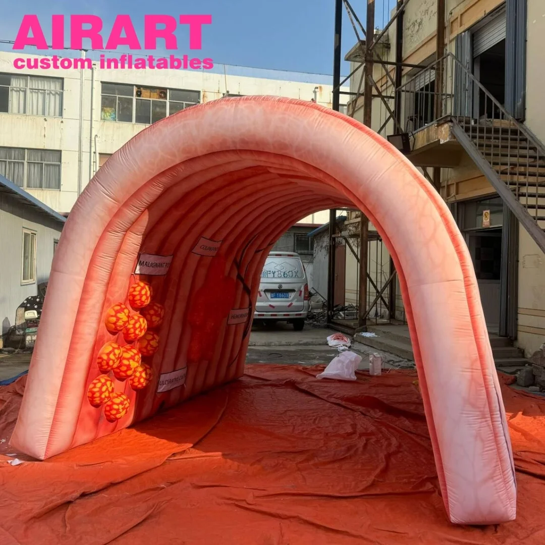Large Intestine Inflatable Model For Medical,Mega Colon Inflatables ...