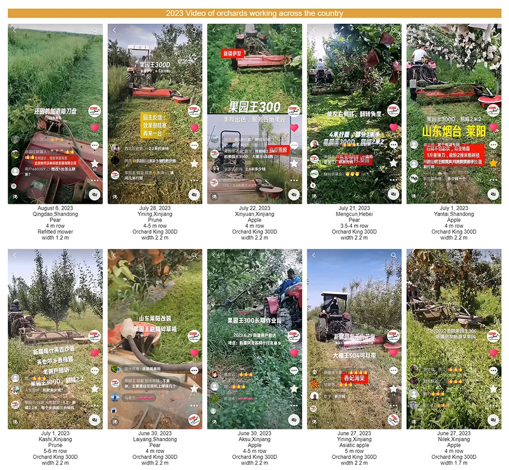 2023 Orchard Swing Arm Flail Mower - Orchard King 300E - Crush Branch ...