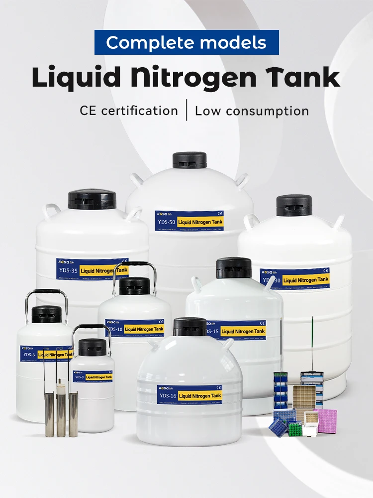 Small Dewar Vessel Flask 6l Cryogenic Cylinder Yds10 Portable Liquid ...