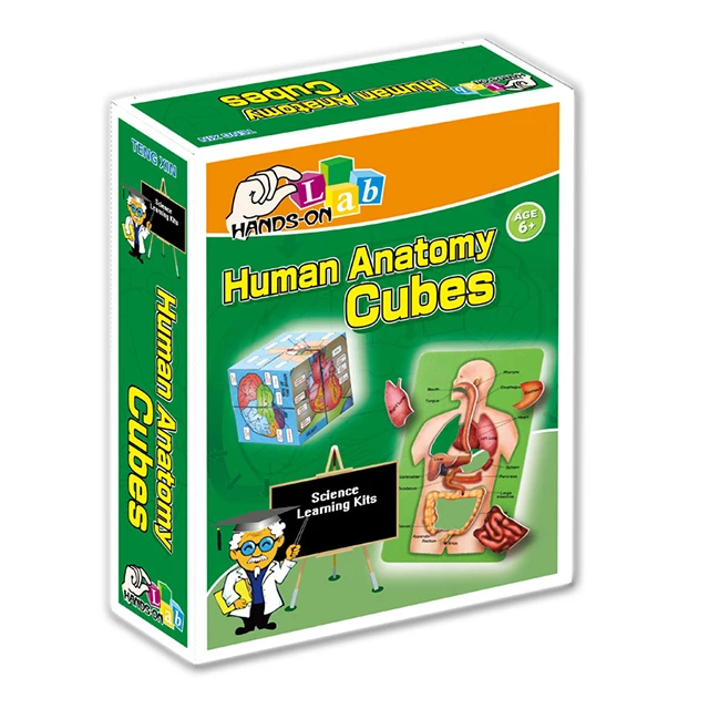 Human Anatomy Cubes--custom Folding Magic Cube Toy| Alibaba.com