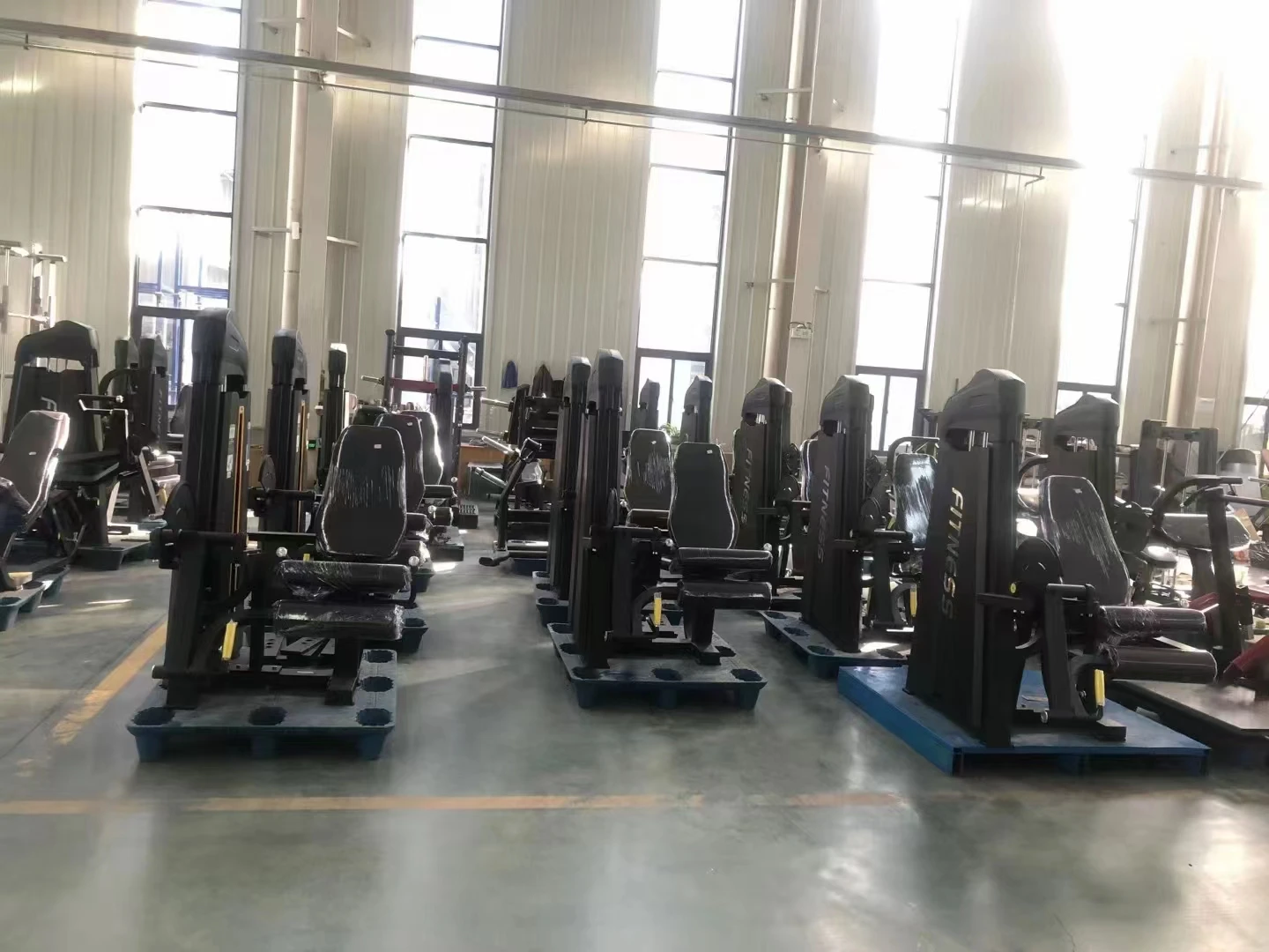 Selectorized Weight Stack Machine Camber Curl Triceps Biceps Curl ...