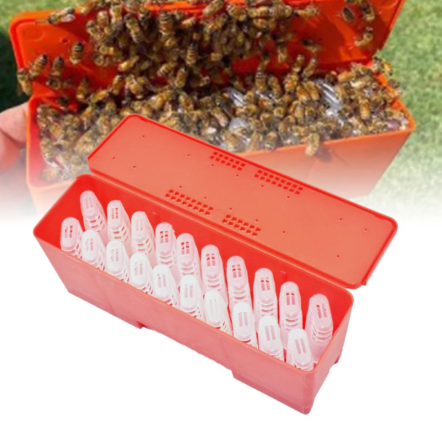 Queen Rearing Tool Jzbz Queen Cage Shipping Bar Queen Shipping Strip ...