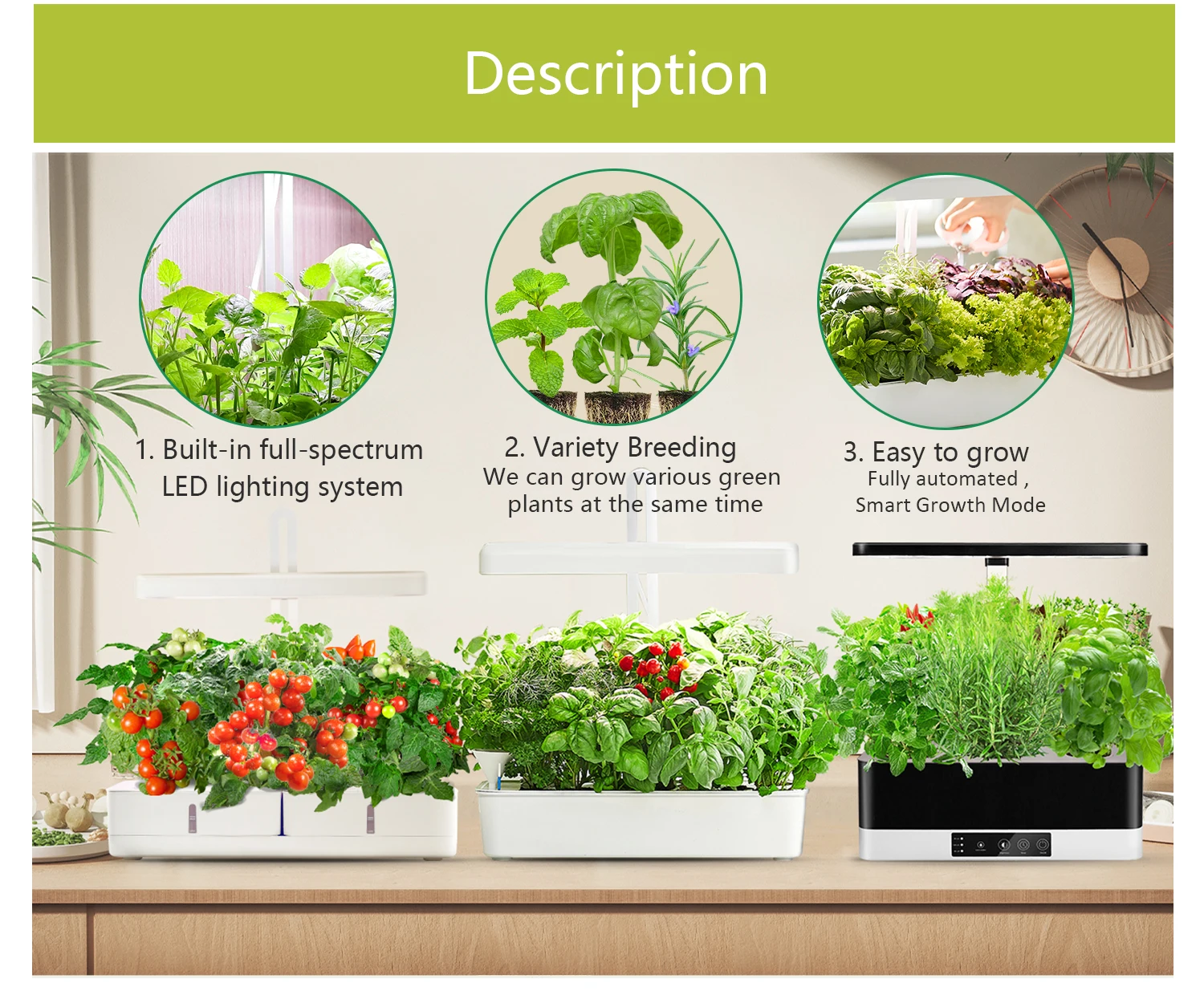 Hydroponic Plant Grow System - Efficient Indoor Gardening