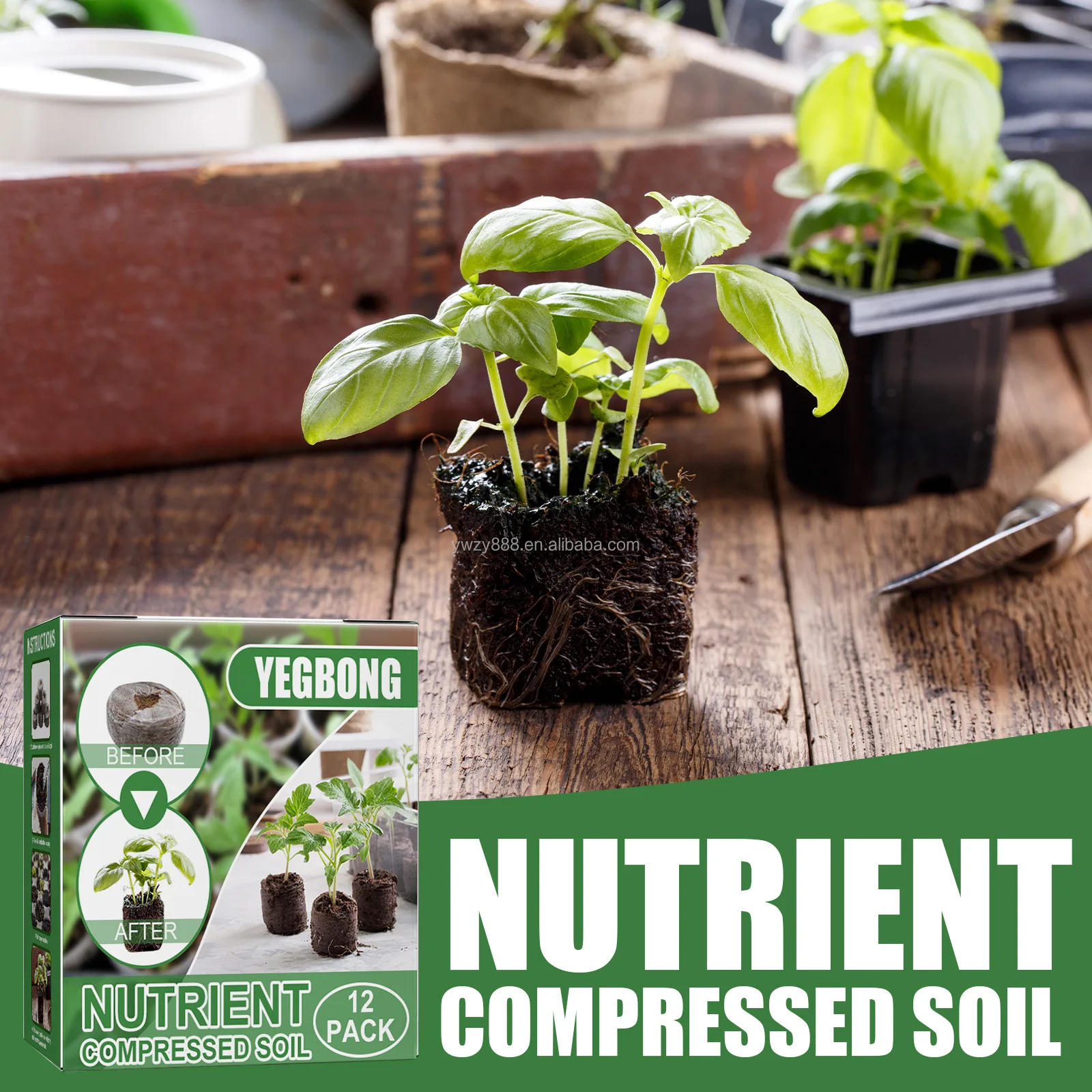 Seedling Soil Block Compressed Peat Block Compressed Soil Medium ...