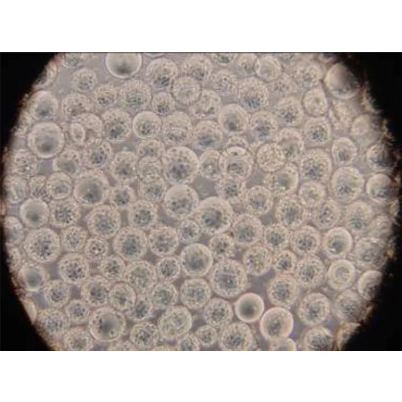Cell Culture Spherical Bioreactor Carrier - Easy Cell Growth