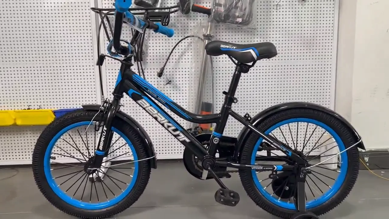 Kids Bike,20 Inch Children Bikes For Boys Girls Age 3-8 Years With ...