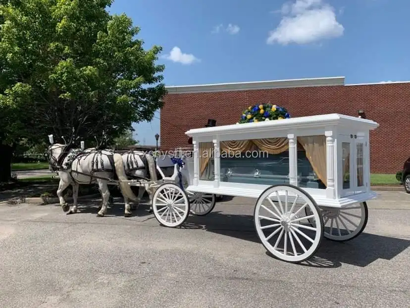 Vintage White Horse Drawn Funeral Hearse Carriage - Traditional Funeral ...