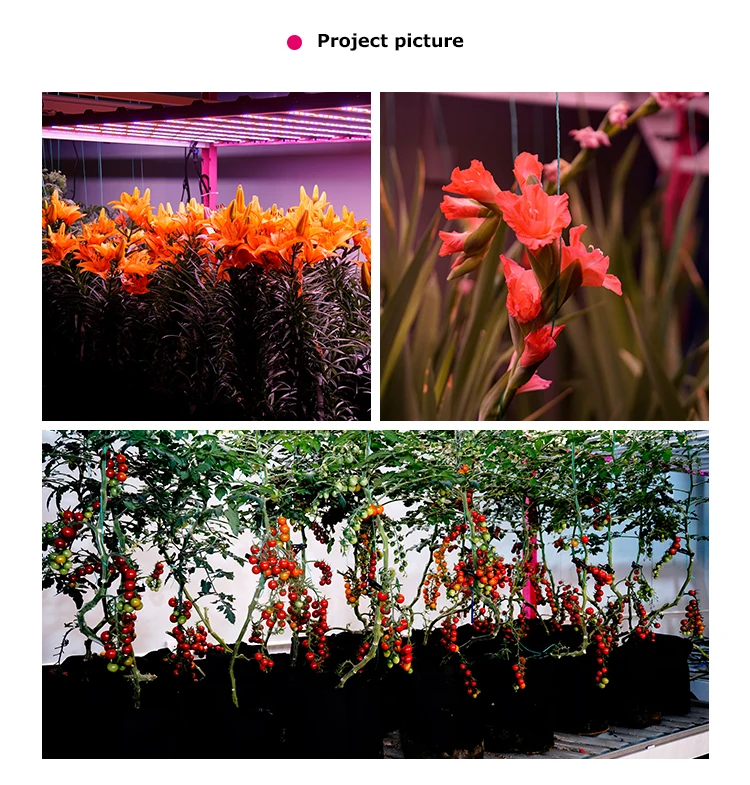 Mobile Racking Drip Irrigation System With Led Lighting Air Flow System ...