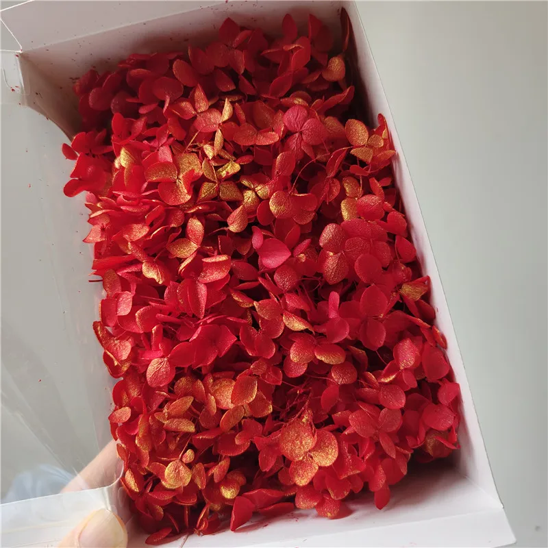 Bright And Colorful Preserved Hydrangea Box Can Be Used As Valentine's ...