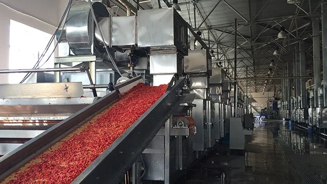 Hot Sale Raisin Processing Conveyor Belt Small Fruit Drying Machine ...
