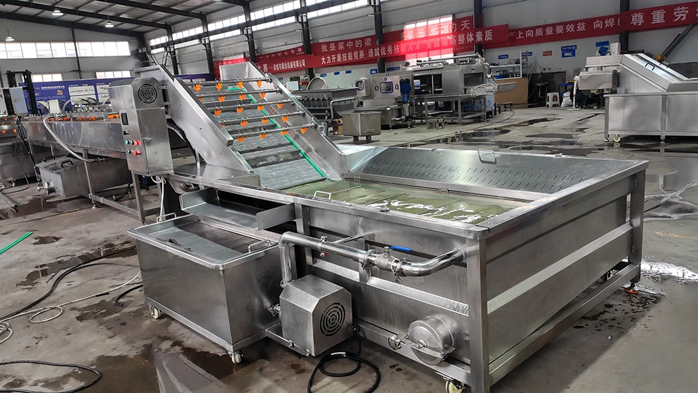 Complete 500kgs Mango Pulp Washing Sorting Machine Pineapple Peeling ...