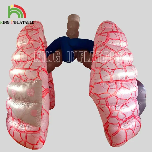 Giant Inflatable Lung 3D Model for Medical Exhibitions