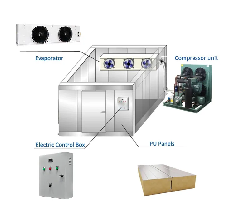 40 Feet Container Solar Cold Room Commercial Solar Powered Cold Storage ...