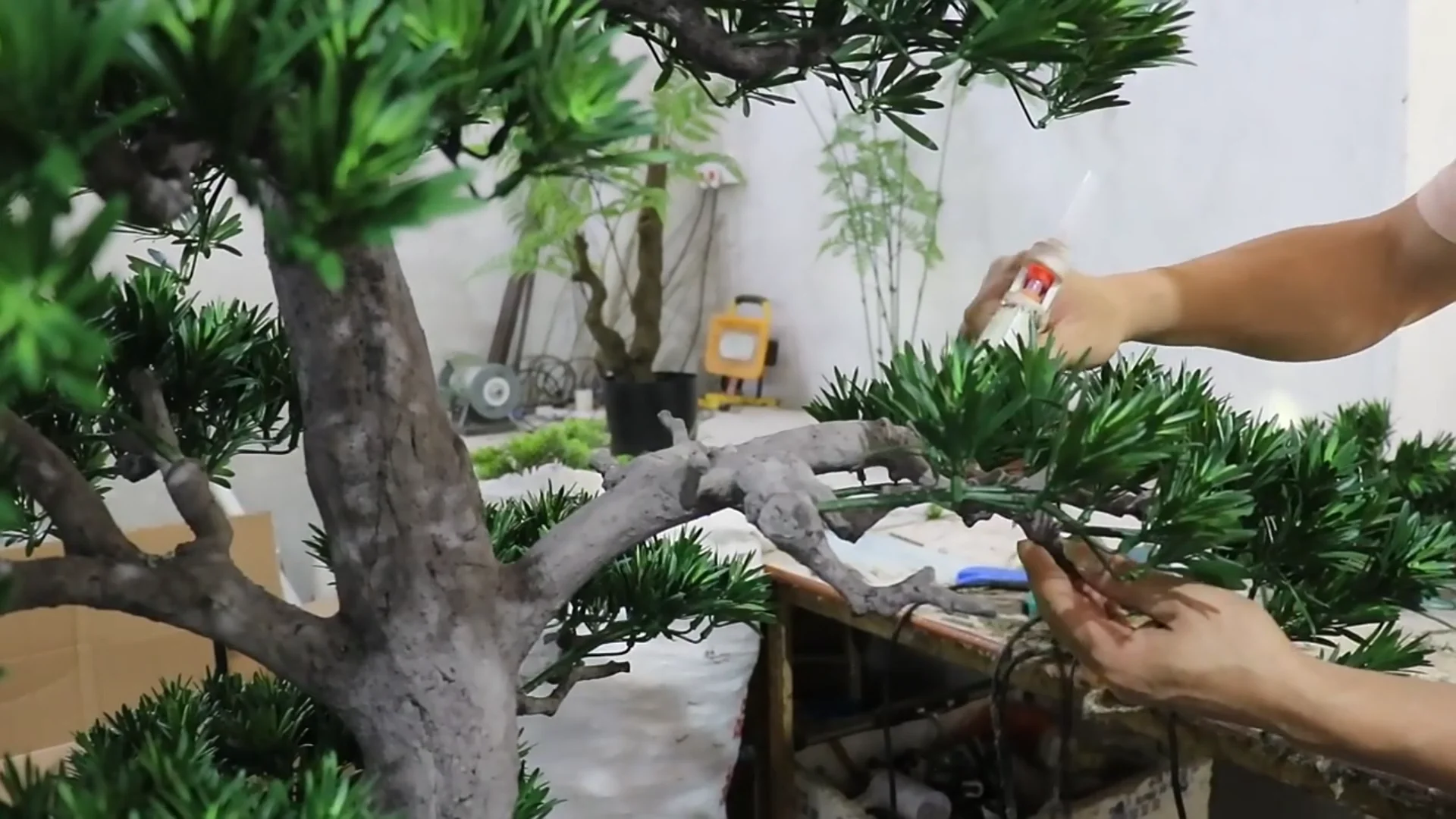 Factory Direct Sales Custom 2m 3m High Quality Plants Indoor Bonsai ...