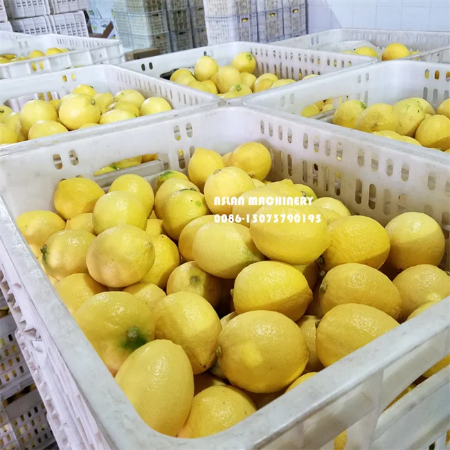 Lemon Washing Drying Waxing Machine Tangerine Cleaning Polishing Waxing ...