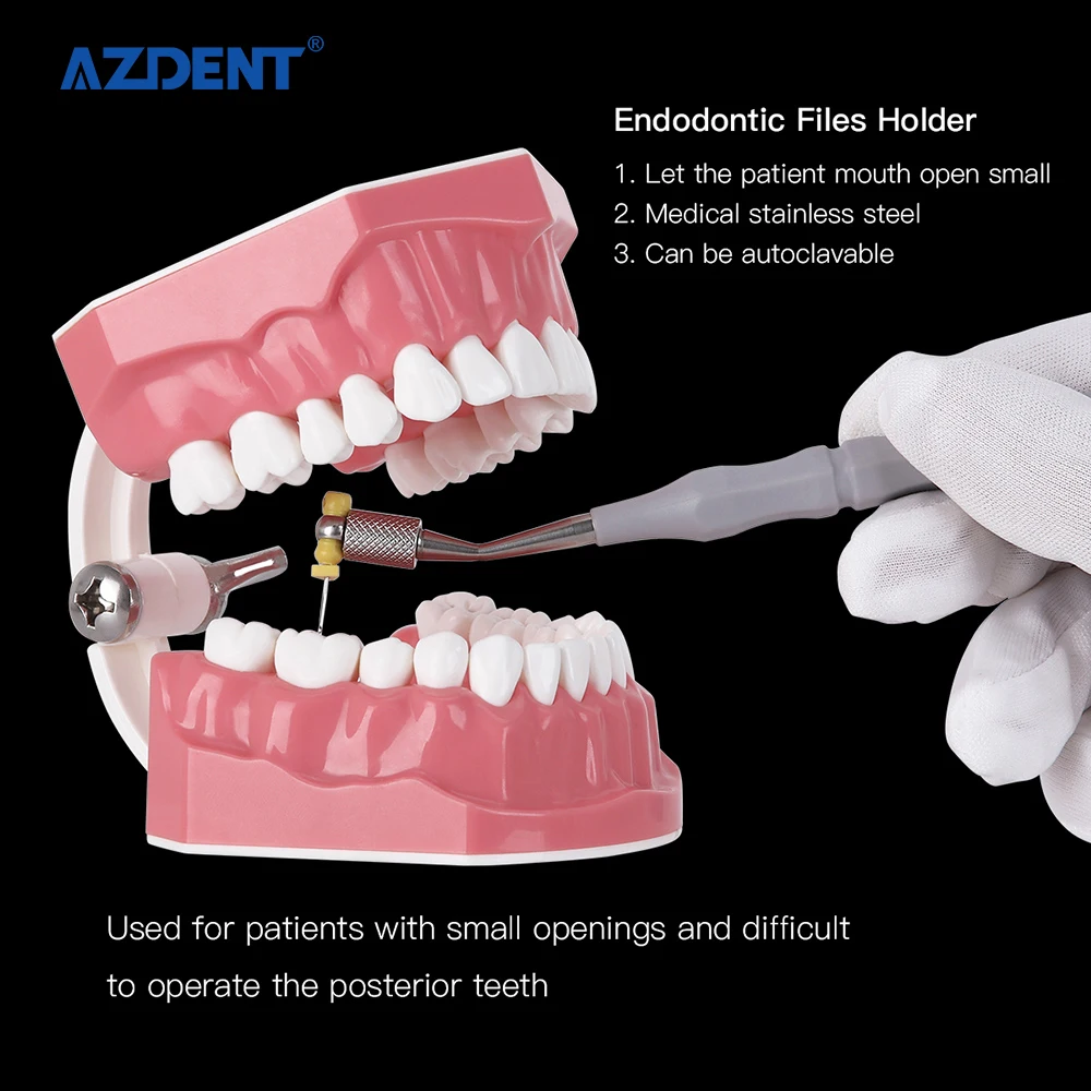 Cheap Price Autoclavable Dental Rotary Files Holder/ Endodontic Files ...