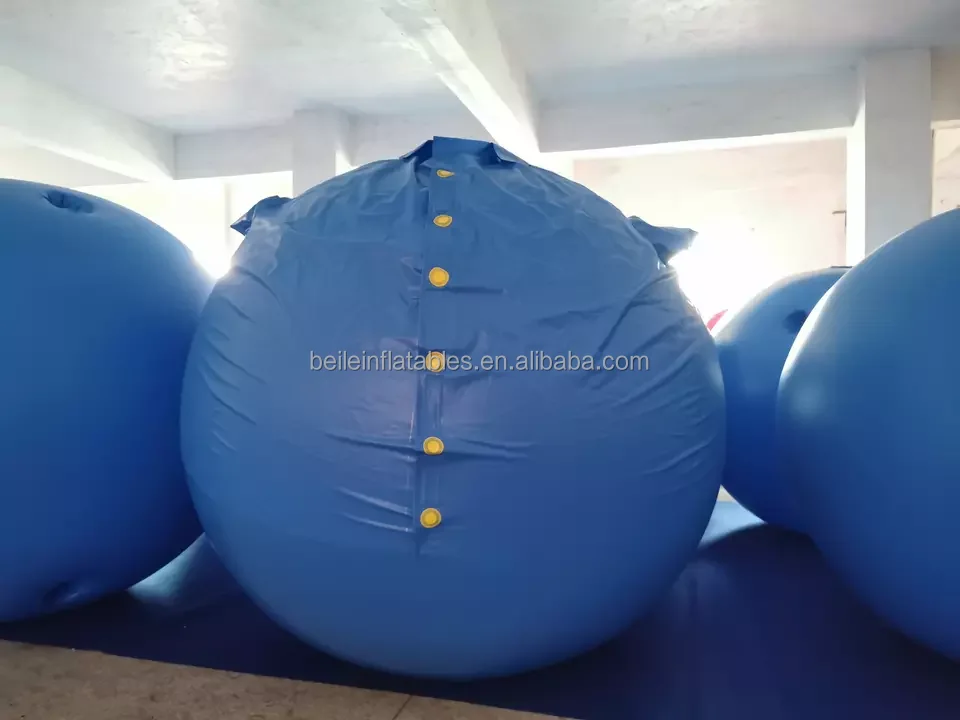 2023 Hot Sale Beile Customize Round Pvc Inflatable Blueberry Ball Suit ...
