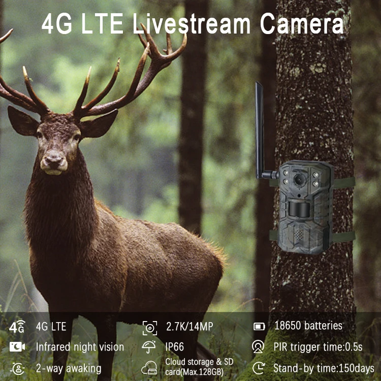 H2 Wild Hunting Camera 4G LTE - Wireless & Rechargeable