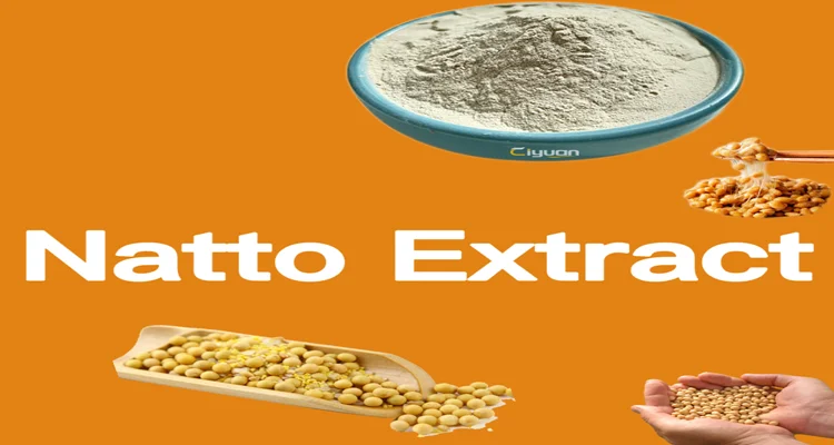 Ciyuan Factory Natto Extract Nattokinase Enzymes Powder| Alibaba.com