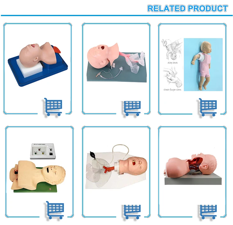 Intubation Manikin Teaching Resource SC-J4A Children Trachea Intubation ...