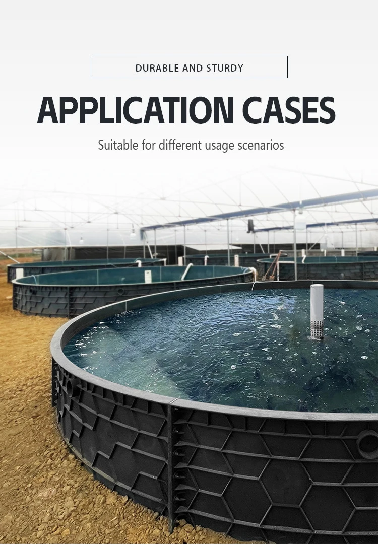 High Efficiency Aquaculture Fish Tank - Durable & Customizable