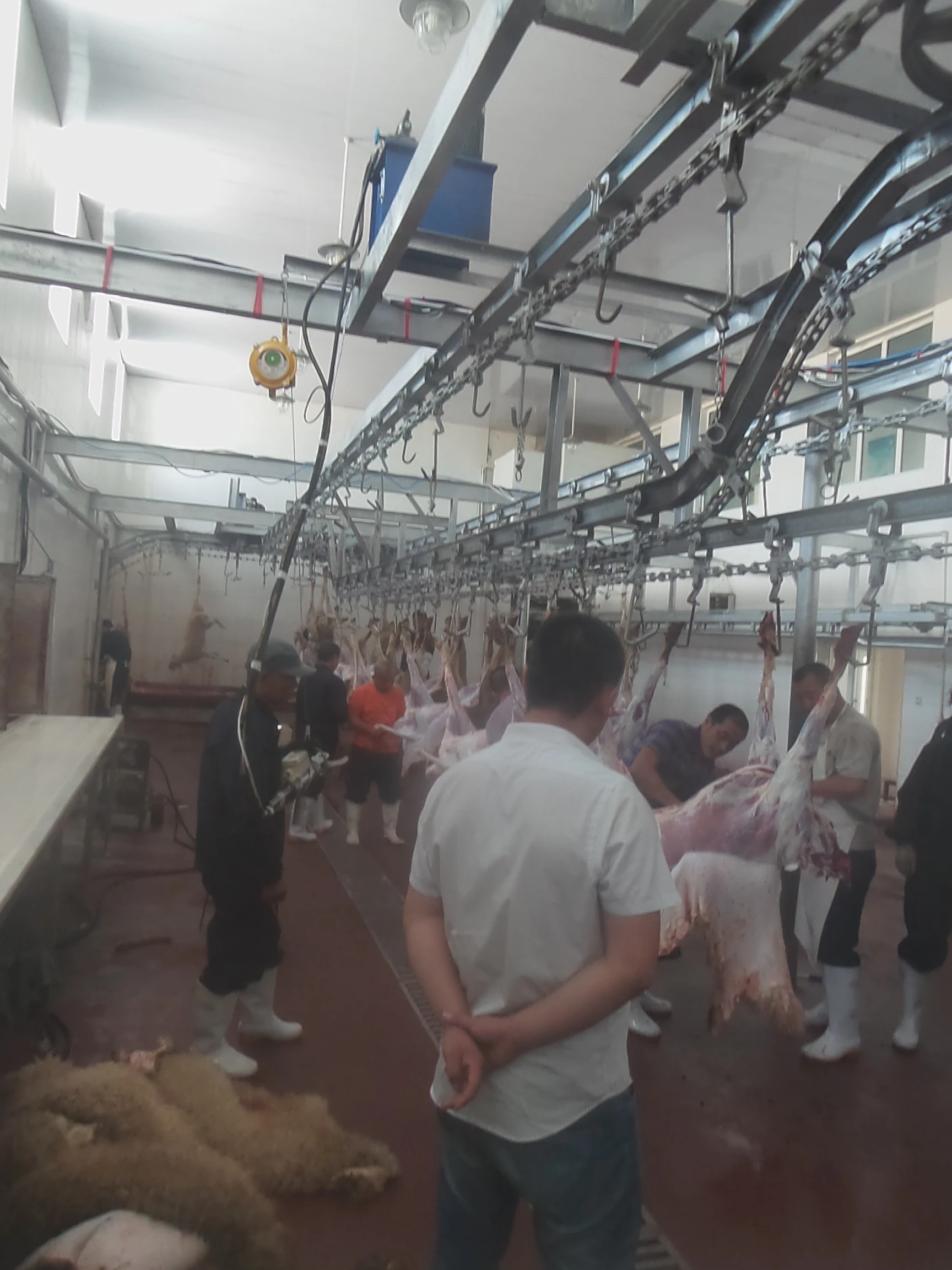 Factory Price Halal Slaughter Sheep/goat Carcass Processing Automatic ...