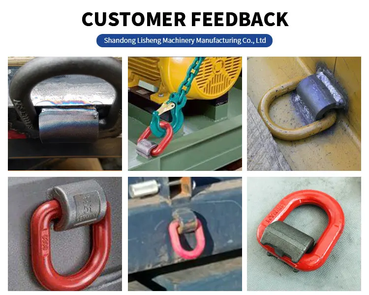 Heavy Duty Weld-on Forged D Shaped Lashing Ring - LS D Ring