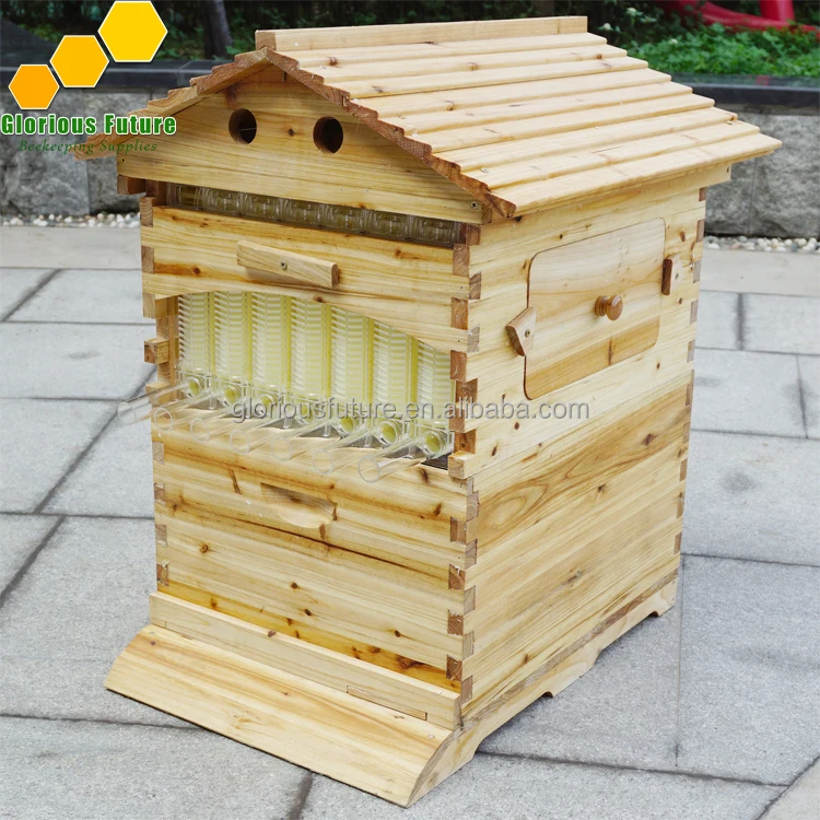 Complete Auto Flowing Honey Bee Hive With 7pcs Automatic Self Flows ...