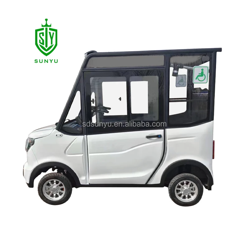 Mini Smart Car - Electric Enclosed Cabin for Family Mobility