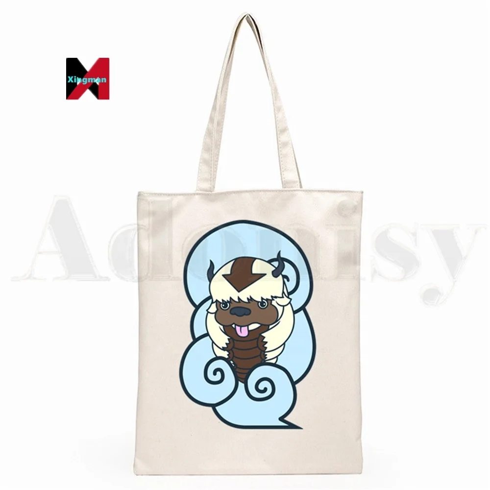 Avatar The Last Airbender Aang And Appa Anime Graphic Hipster Cartoon ...