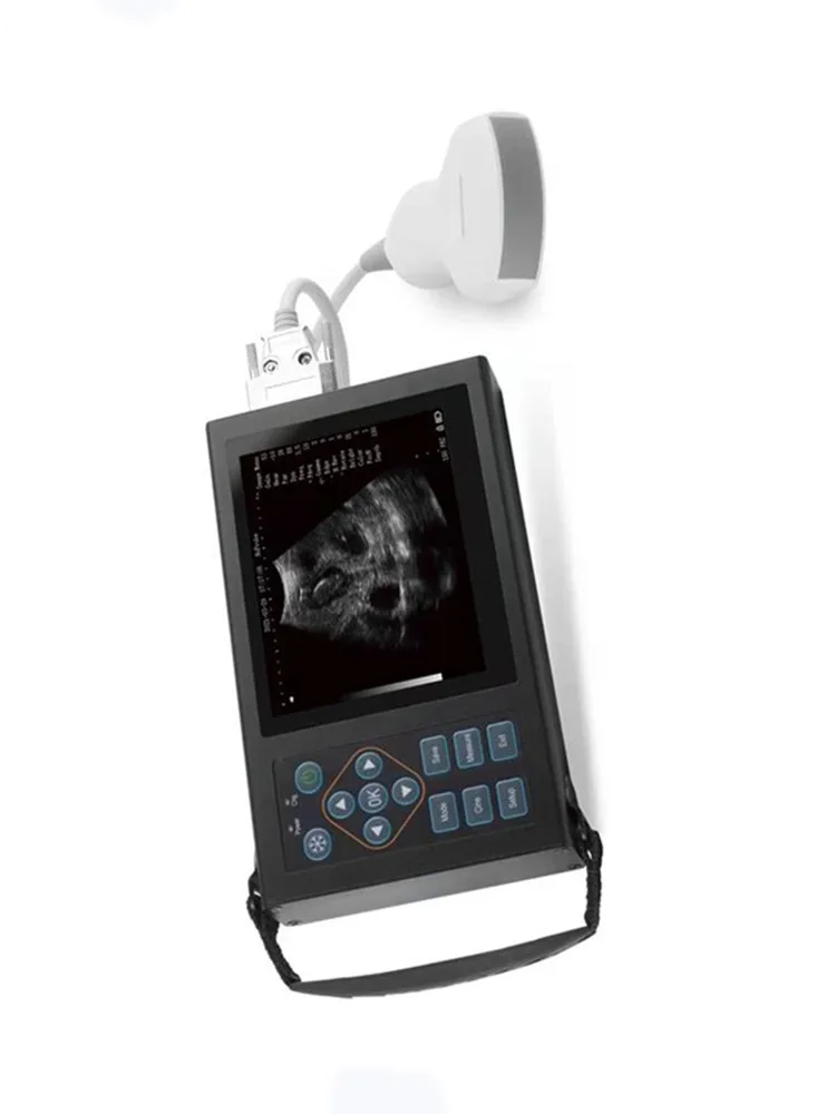 Veterinary Ultrasound Machine Fully Digital Ultrasound Scanner Usg ...