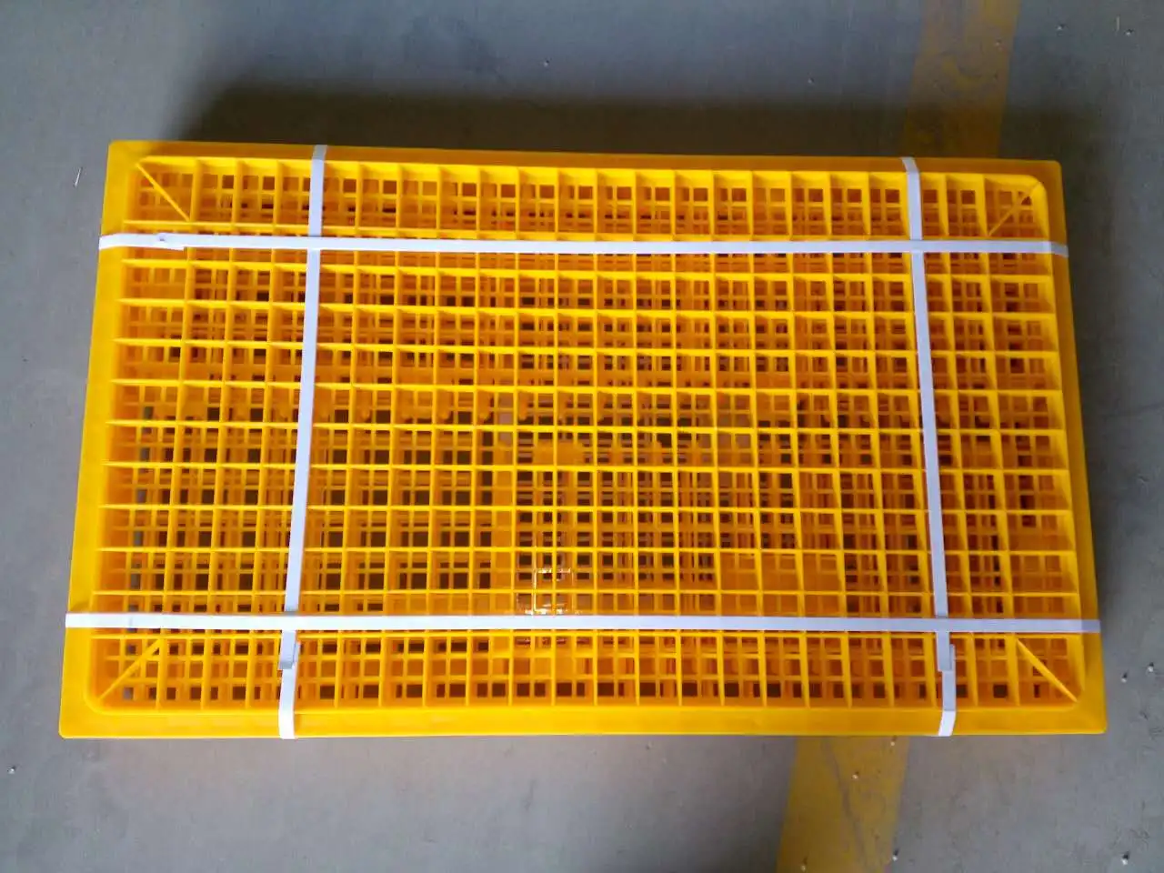 Hdpe Plastic Chicken Transport Crate /poultry Carrying Boxes /used ...