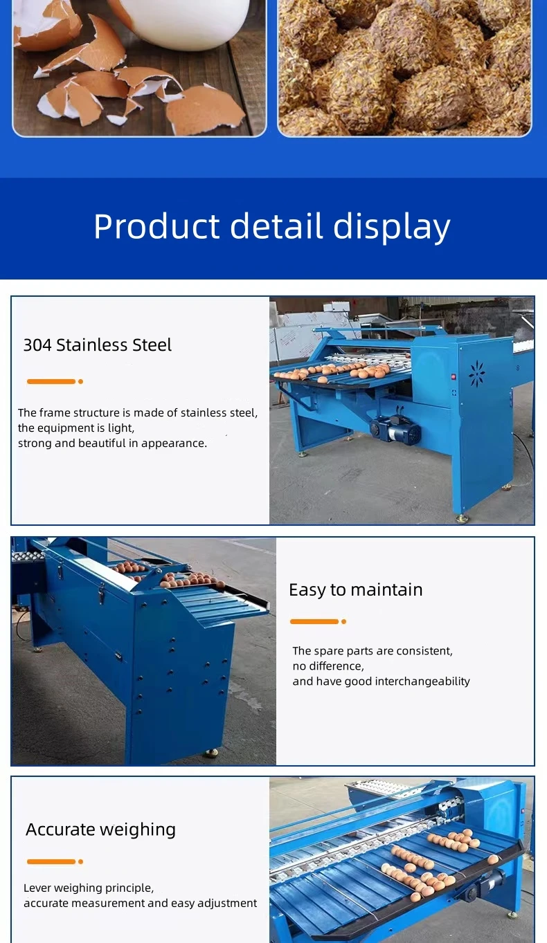 Scale Grader Sorting And Egg Grading Machine For Hatchery - Buy Egg ...